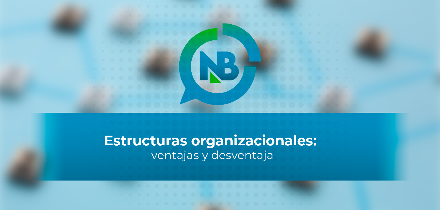 Estructuras organizacionales: ventajas y desventajas - Instituto Escadia